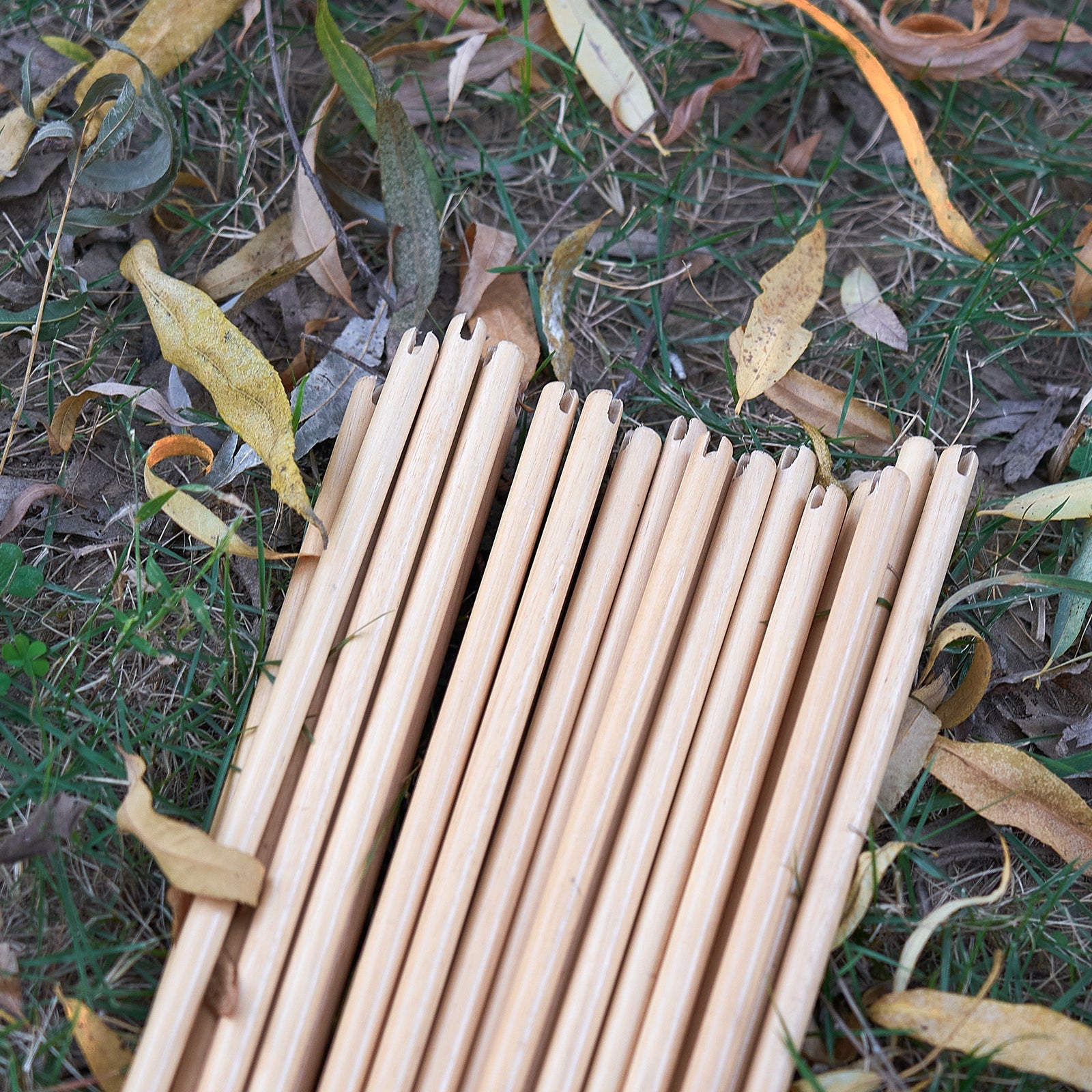 24x 32" Wooden Arrow Shafts Traditional Archery – CA.HuntingDoor.com