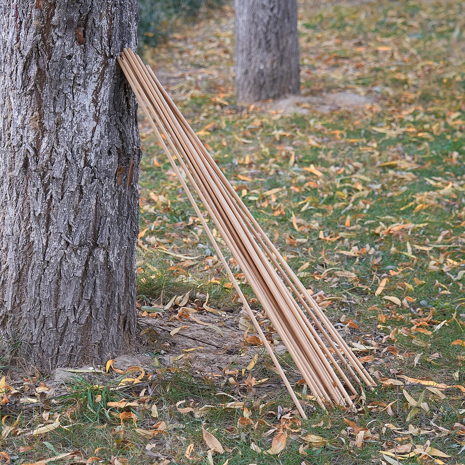 24x 32" Wooden Arrow Shafts Traditional Archery – CA.HuntingDoor.com